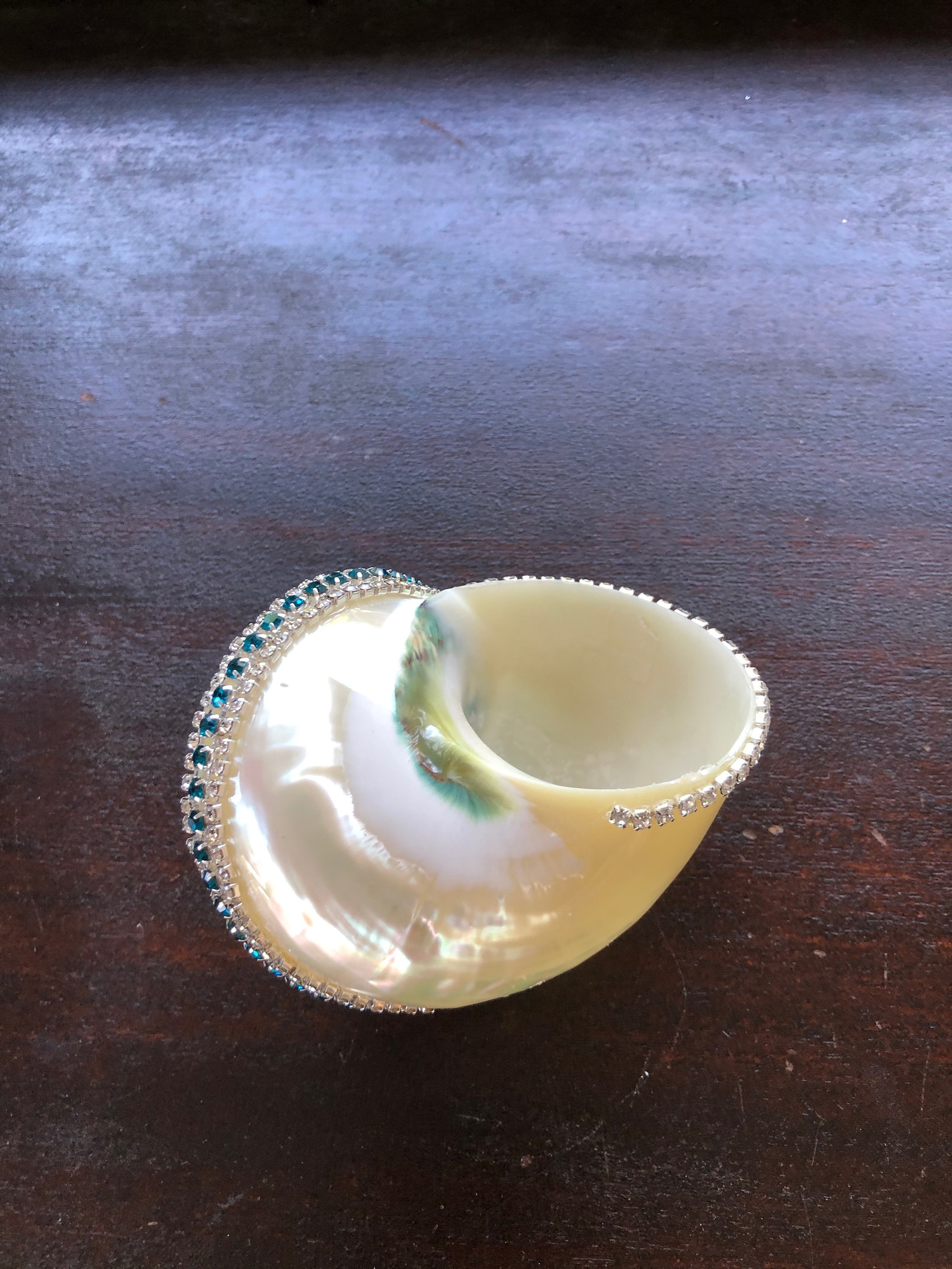 Polished Turbo Shell or Trochus Shell Embellished With - Etsy