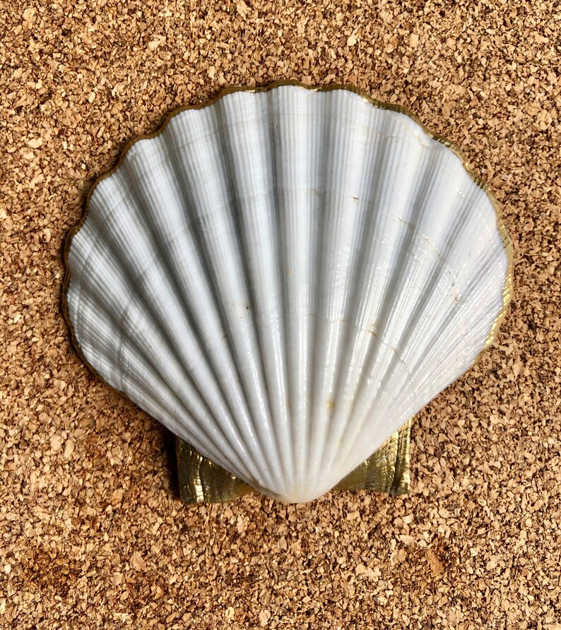 Queen Bee Large Decorated Scallop Shell Trinket Dish Jewelry - Etsy