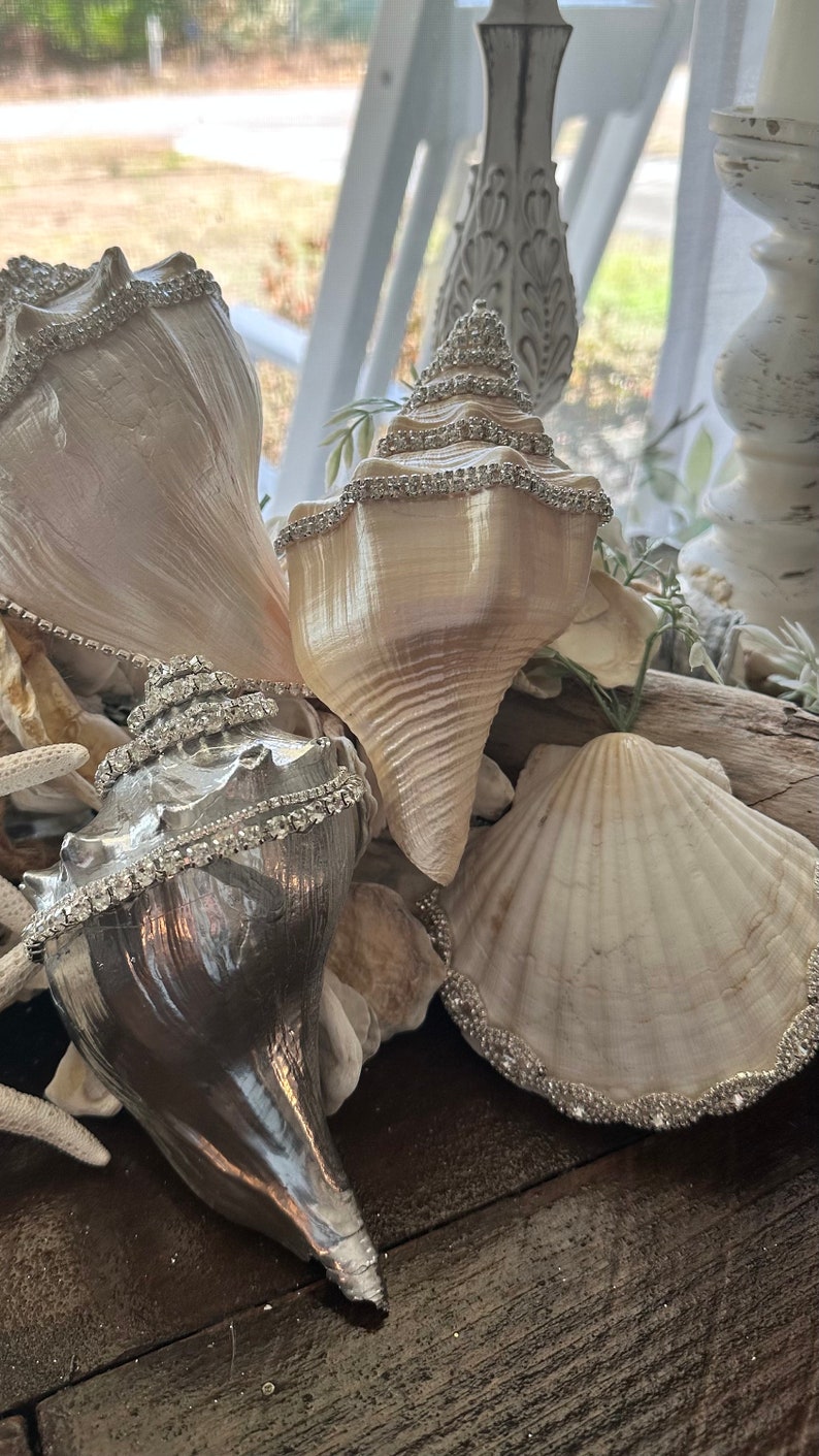 Embellished Shells, Pearl Color Embellished With Rhinestone Crystals 6 ...