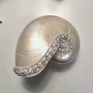 Embellished Polished Nautilus Shell With Rhinestone Crystals - Polished ...