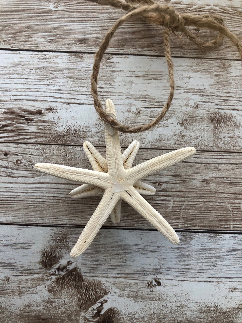 Starfish Ornament Coastal Christmas Ornament Beach Wedding | Etsy