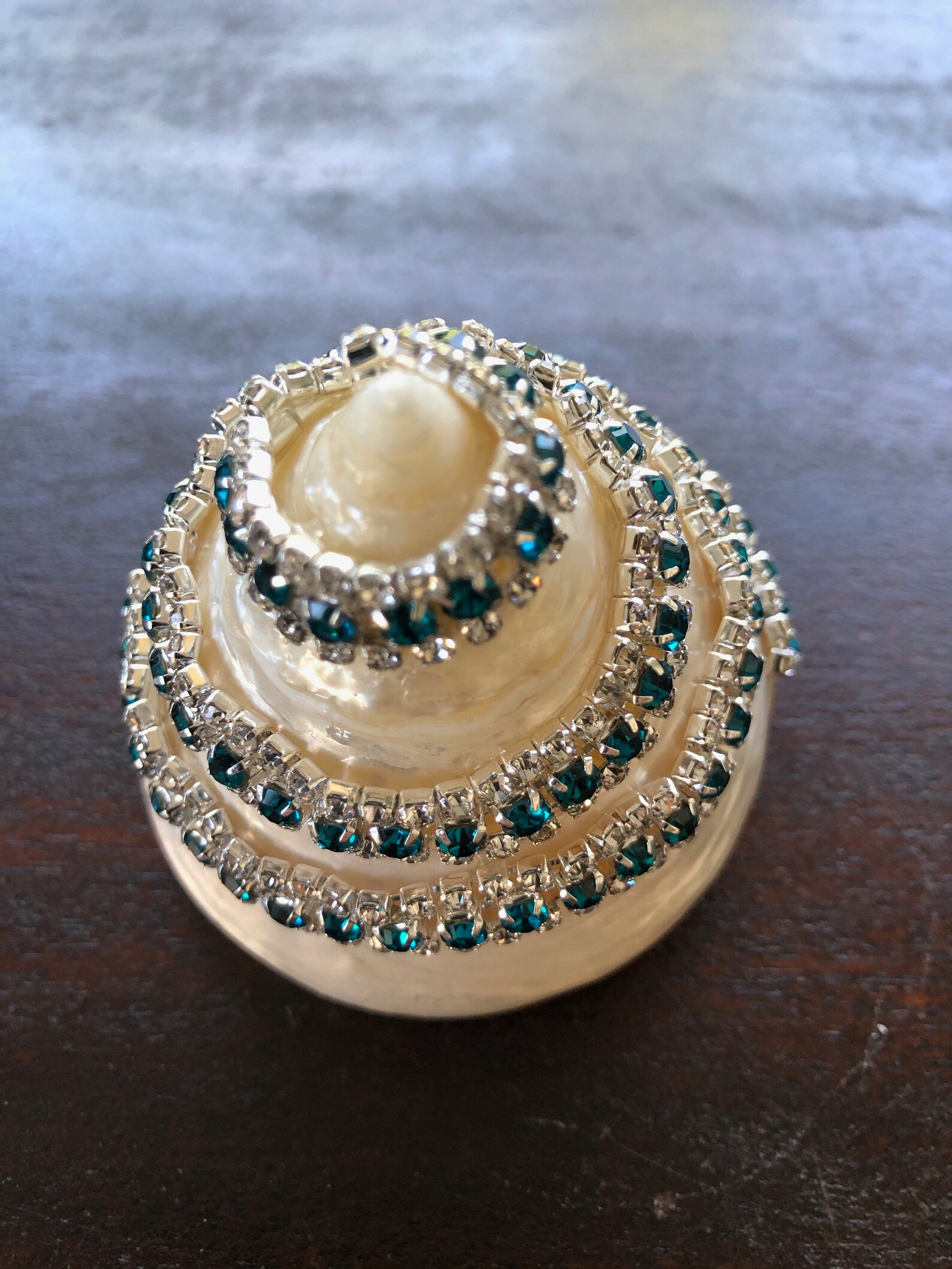 Polished Turbo Shell or Trochus Shell Embellished With - Etsy