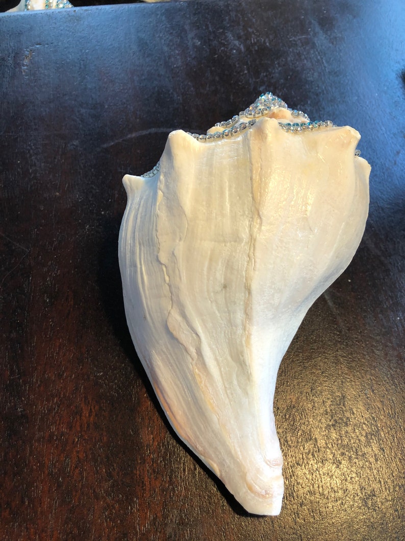 Large Rhinestone Embellished Shell Beautiful Atlantic Whelk - Etsy