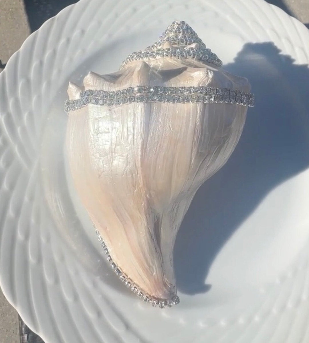 Large Rhinestone Embellished Shell, Beautiful Atlantic Whelk With Pearl ...