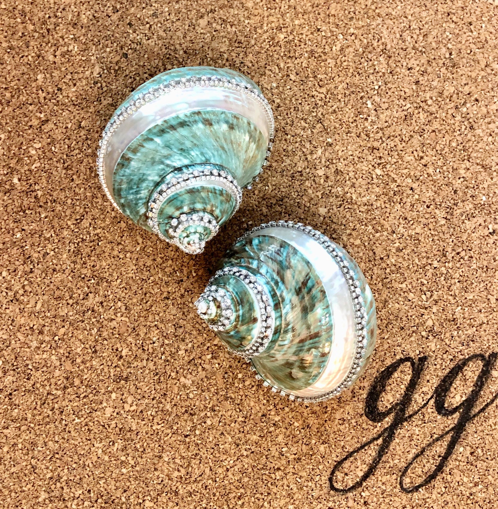 Large Shell Polished Jade Turbo Shell With Pearl Band Embellished With ...