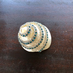Polished Turbo Shell or Trochus Shell, Embellished With Rhinestone ...