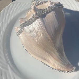 Large Rhinestone Embellished Shell, Beautiful Atlantic Whelk With Pearl ...