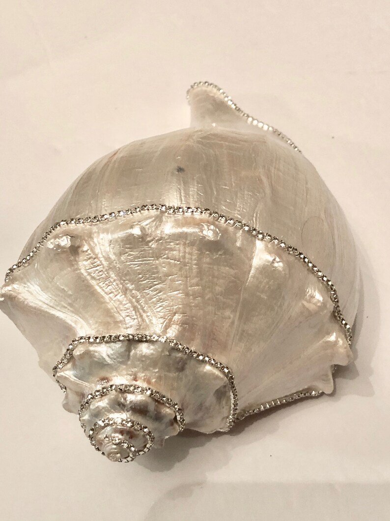 Large Rhinestone Embellished Shell Beautiful Atlantic Whelk | Etsy