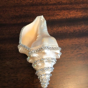 Embellished Shells, Pearl Color Embellished With Rhinestone Crystals 6 ...