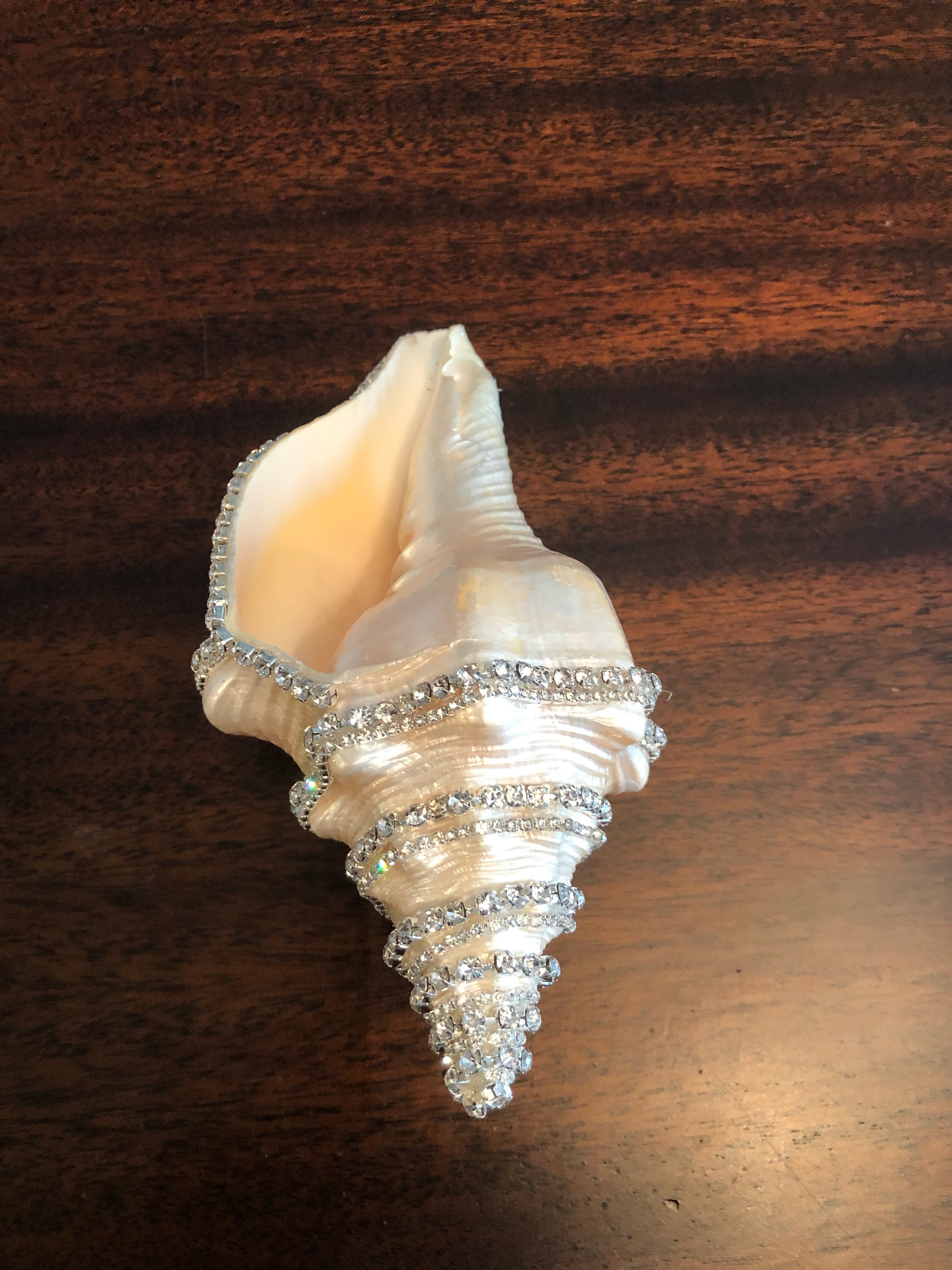 Embellished Shells, Pearl Color Embellished With Rhinestone Crystals 6 ...