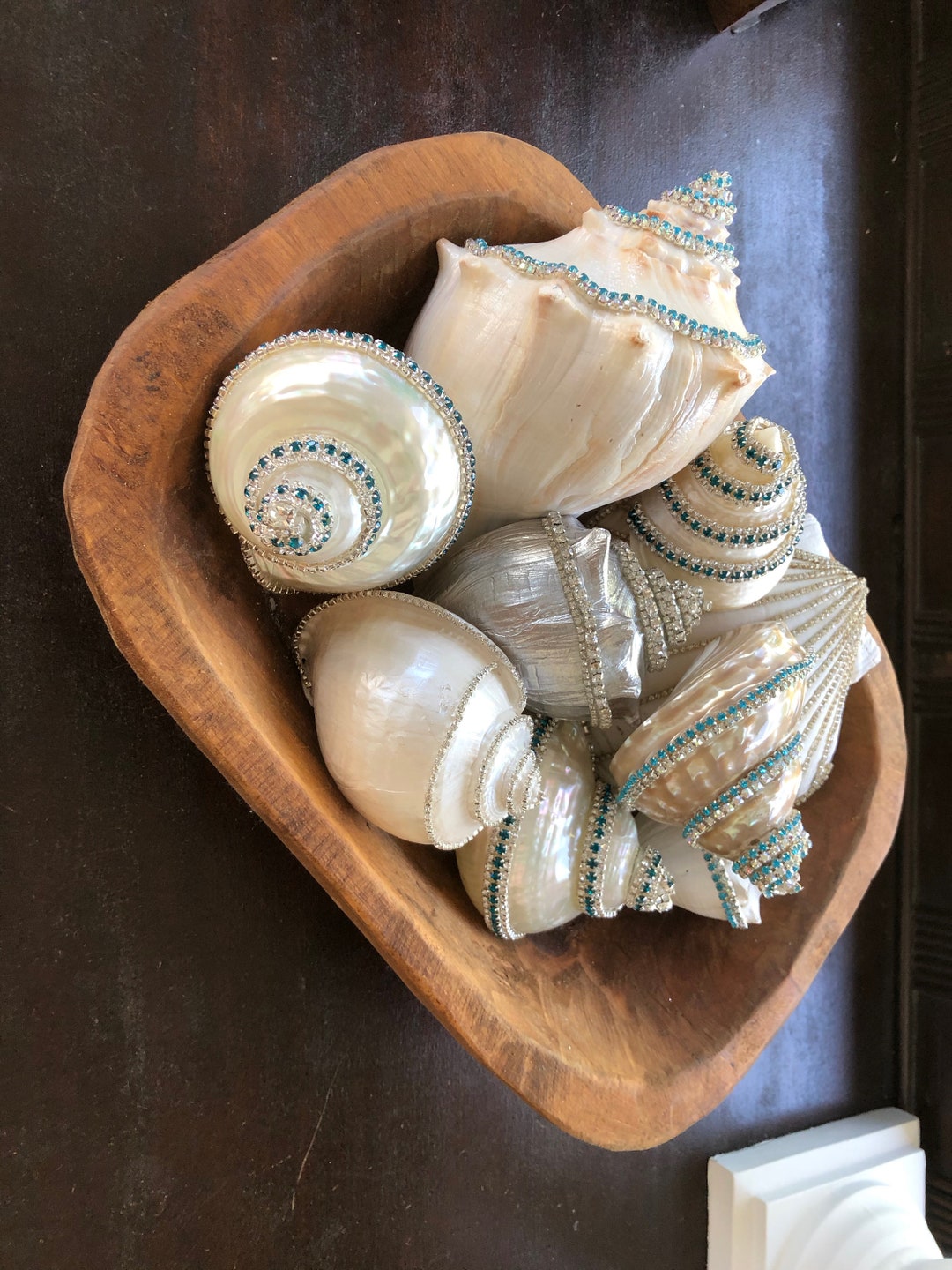 Polished Turbo Shell or Trochus Shell, Embellished With Rhinestone ...