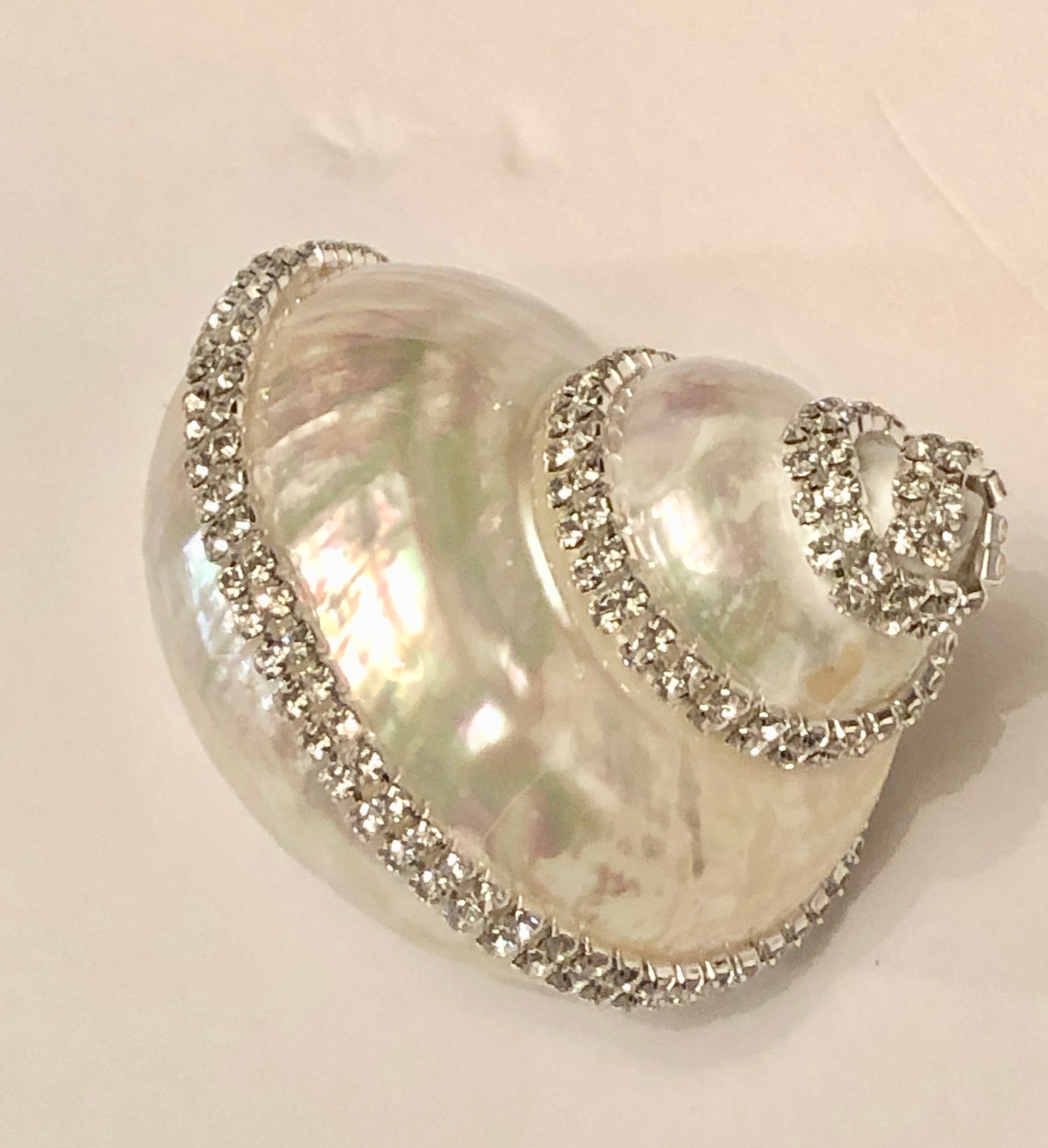 Polished Turbo Shell Pearl Color Embellished With Rhinestone | Etsy