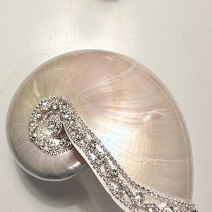 Embellished Polished Nautilus Shell With Rhinestone Crystals - Polished ...