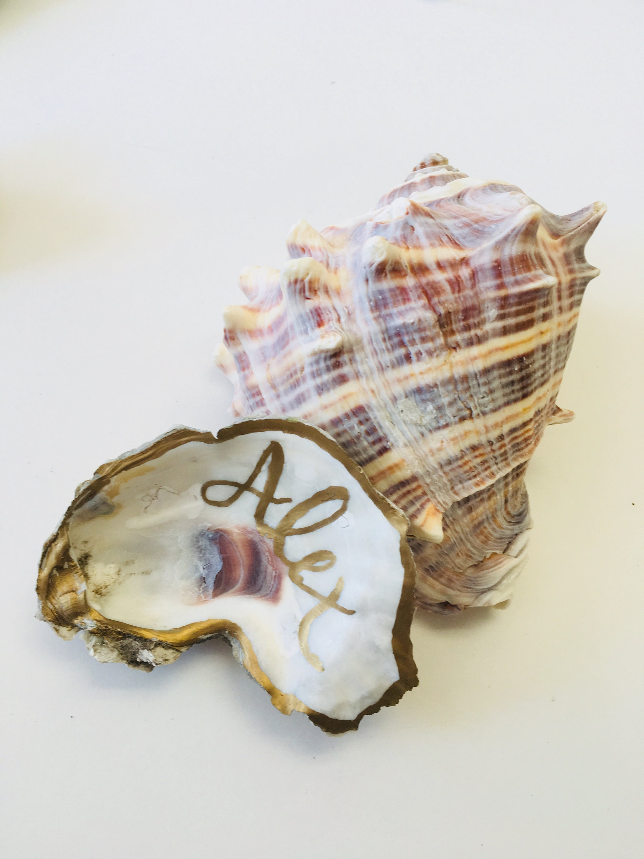Personalized Natural Oyster Shell Place Card Holders / Name - Etsy