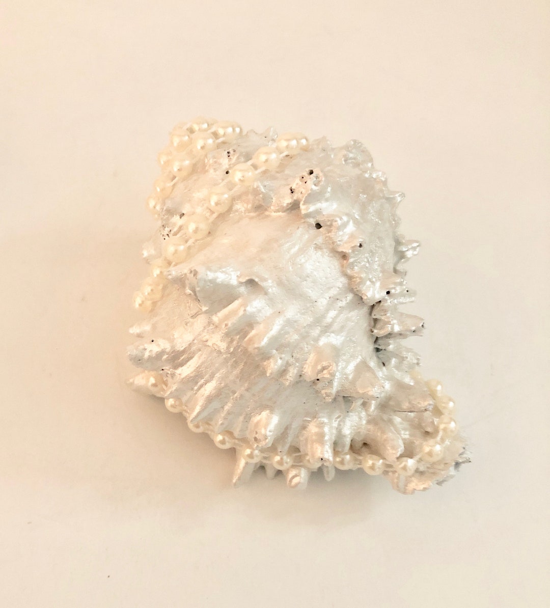 Embellished Pearlized Color With Pearl Accents Shell Perfect for ...