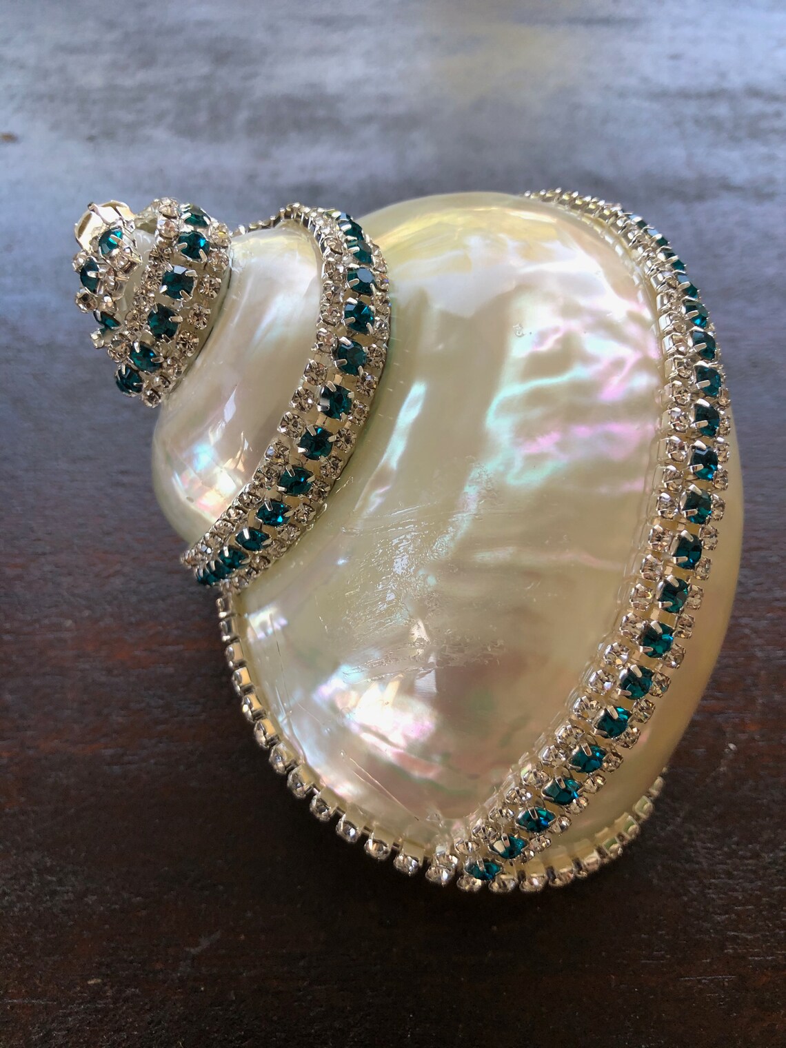 Polished Turbo Shell or Trochus Shell Embellished With - Etsy