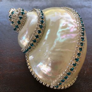 Polished Turbo Shell or Trochus Shell, Embellished With Rhinestone ...