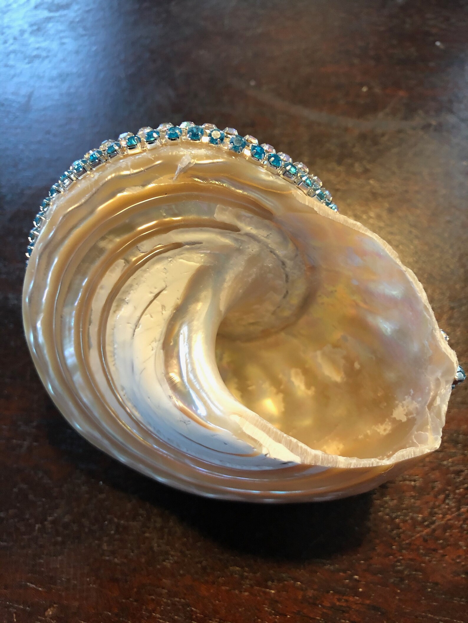Polished Turbo Shell Pearl Color Embellished With Rhinestone - Etsy