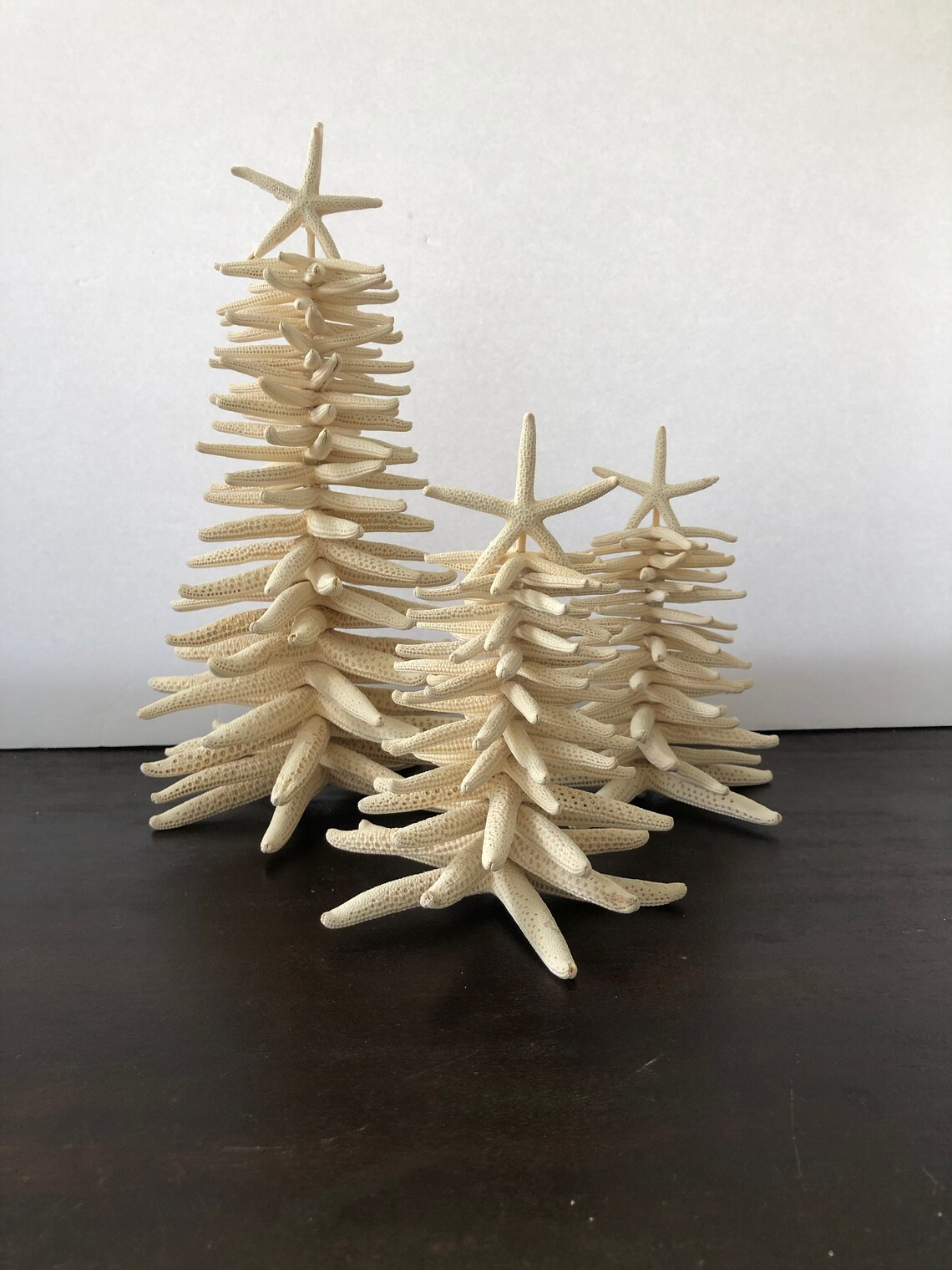 Starfish Christmas Tree made from Finger Starfish Perfect for | Etsy
