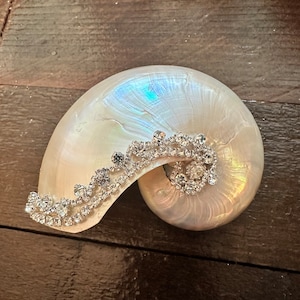 Embellished Polished Nautilus Shell With Rhinestone Crystals - Polished ...