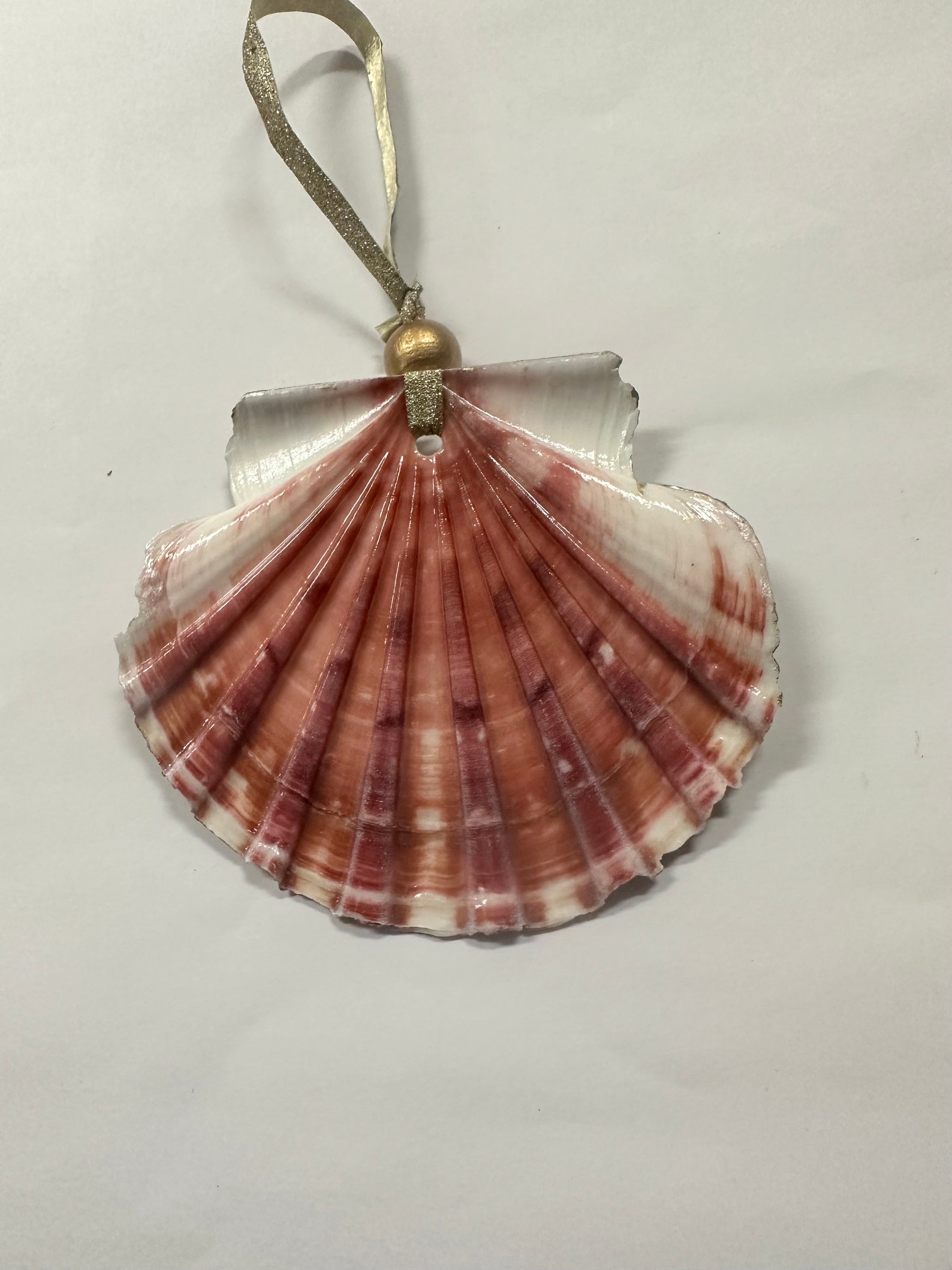 Scallop Shell Christmas Tree Ornament Coastal Christmas Elegant Modern ...