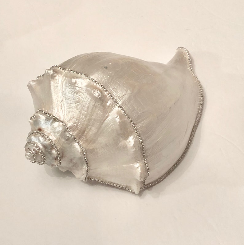 Large Rhinestone Embellished Shell Beautiful Atlantic Whelk | Etsy