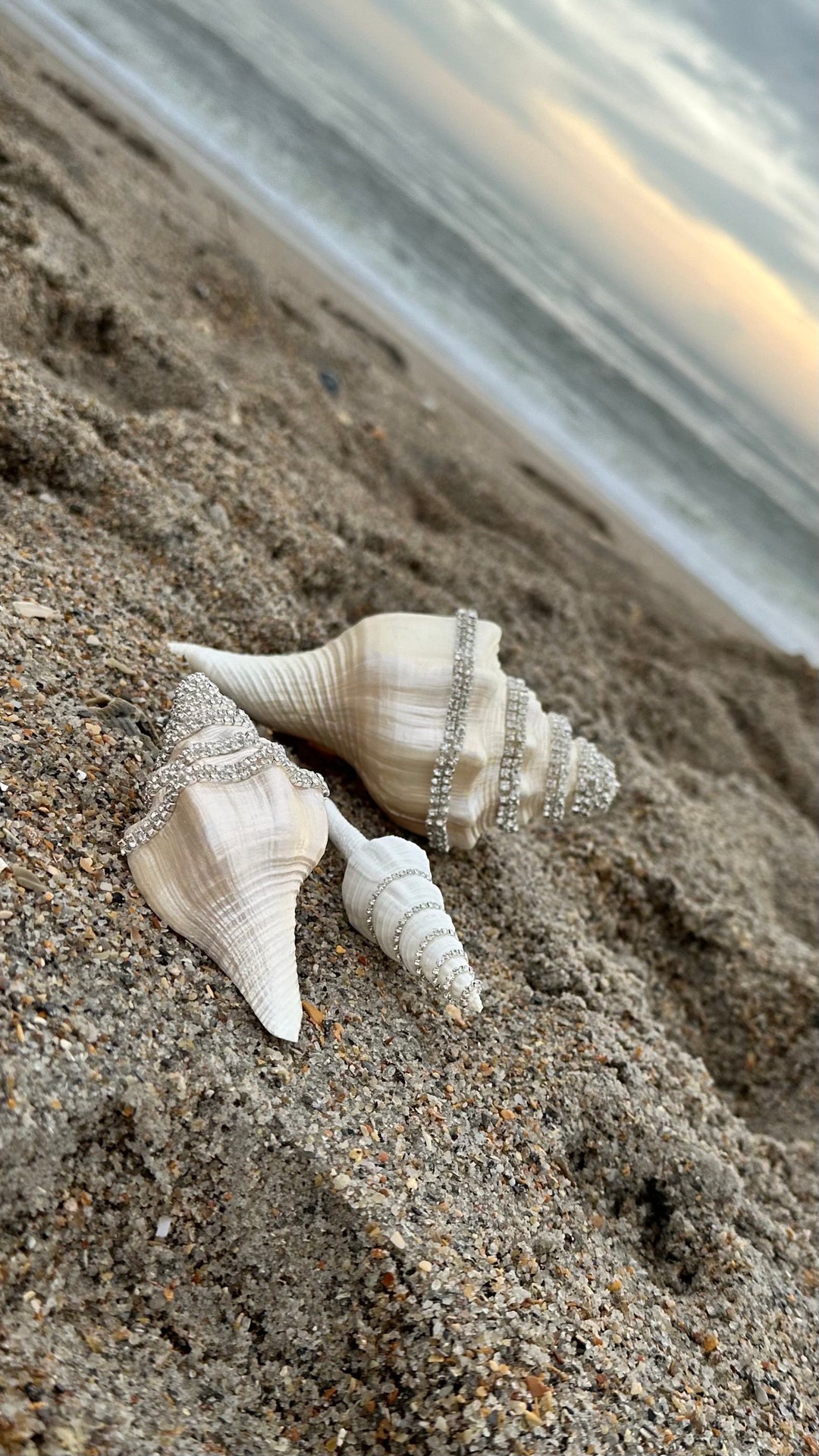 Bejeweled Crystal Swathed Pearl Tinted Shell 6 - 7.25 Inches, Beach ...