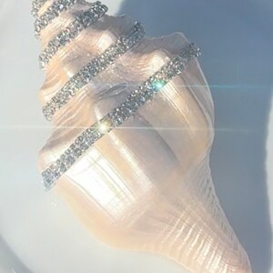 Embellished Shells, Pearl Color Embellished With Rhinestone Crystals 6 ...