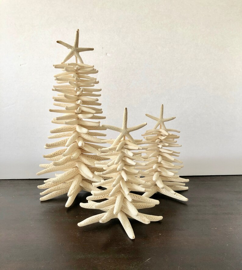 Starfish Christmas Tree Made From Finger Starfish Perfect for | Etsy