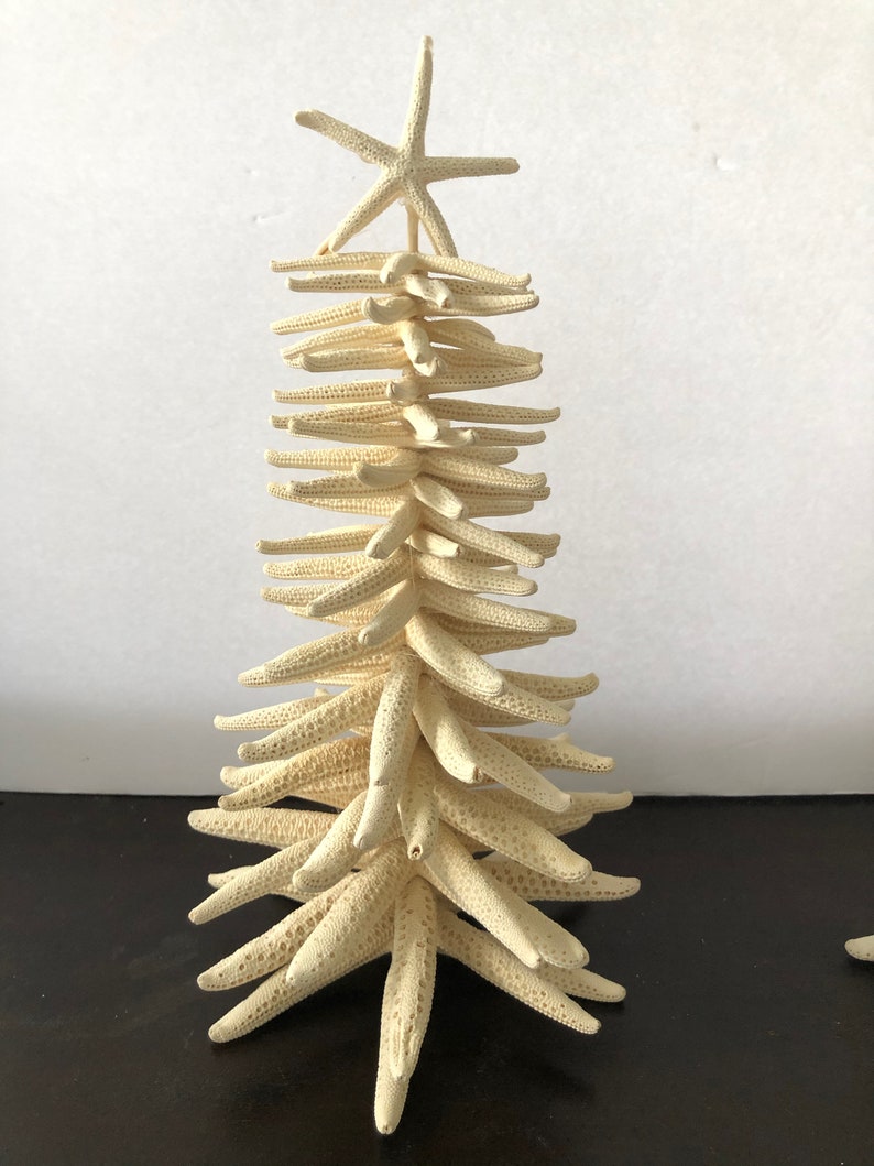 Starfish Christmas Tree Made From Finger Starfish Perfect for | Etsy