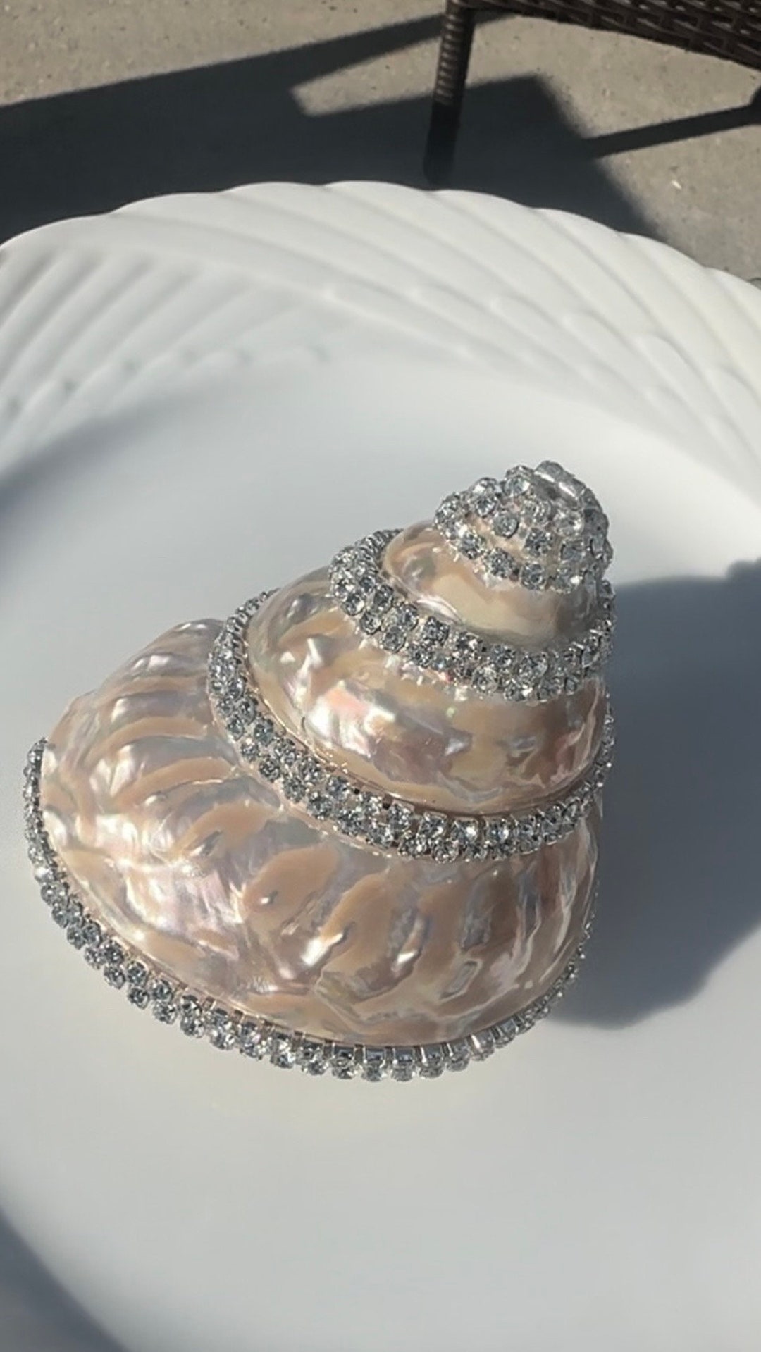 Polished Turbo Shell, Pearl Color Embellished With Rhinestone Crystals ...