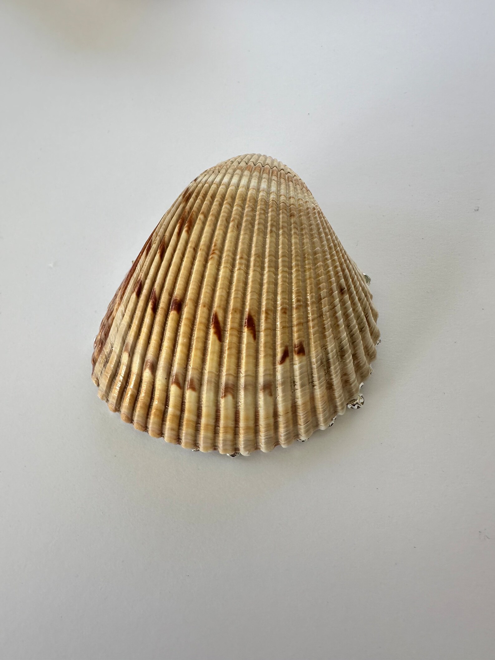 Large Embellished Shell Ring Dish, Hostess Gift, Beach Wedding Favors ...