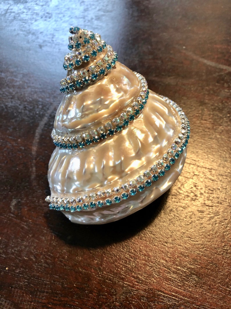 Polished Turbo Shell Pearl Color Embellished With Rhinestone - Etsy