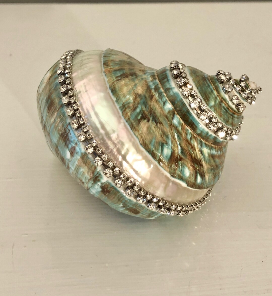 Large Shell Polished Jade Turbo Shell With Pearl Band Embellished With ...