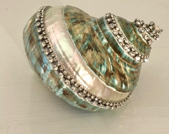 Polished Turbo Shell, Pearl Color Embellished With Rhinestone Crystals ...