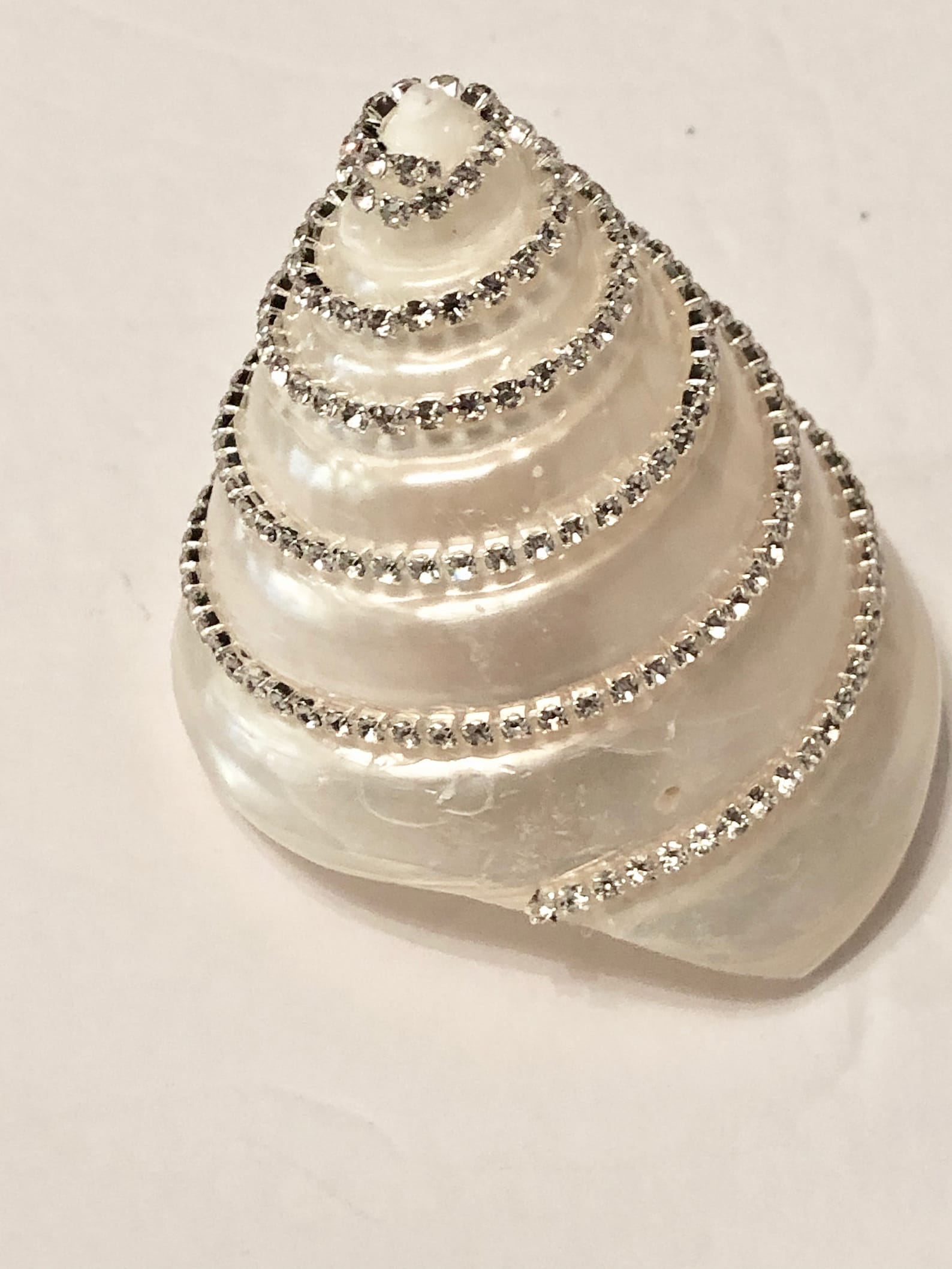 Embellished Pearl Finish Polished Trochus Shell Accented With - Etsy