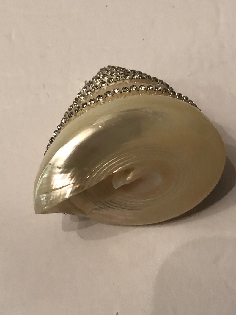 Embellished Pearl Finish Polished Trochus Shell Accented With | Etsy