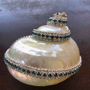 Polished Turbo Shell or Trochus Shell, Embellished With Rhinestone ...