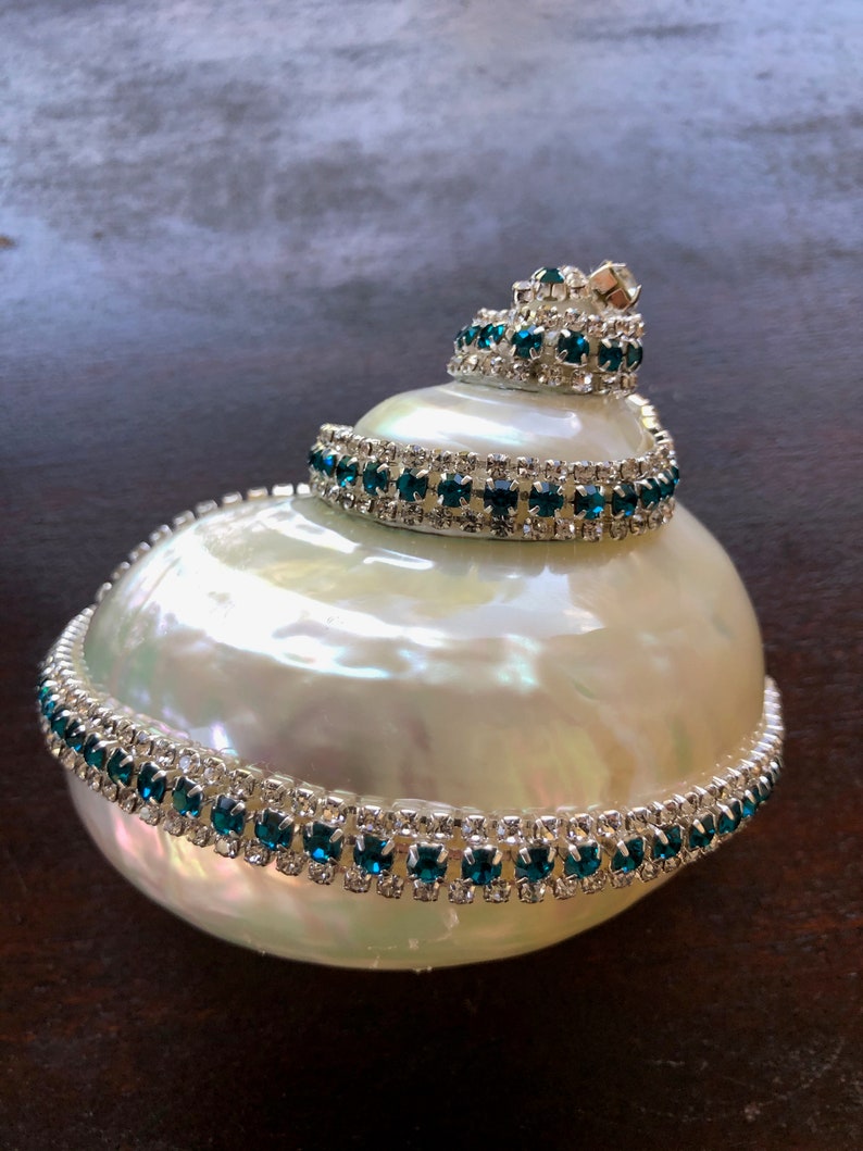 Polished Turbo Shell or Trochus Shell Embellished With - Etsy