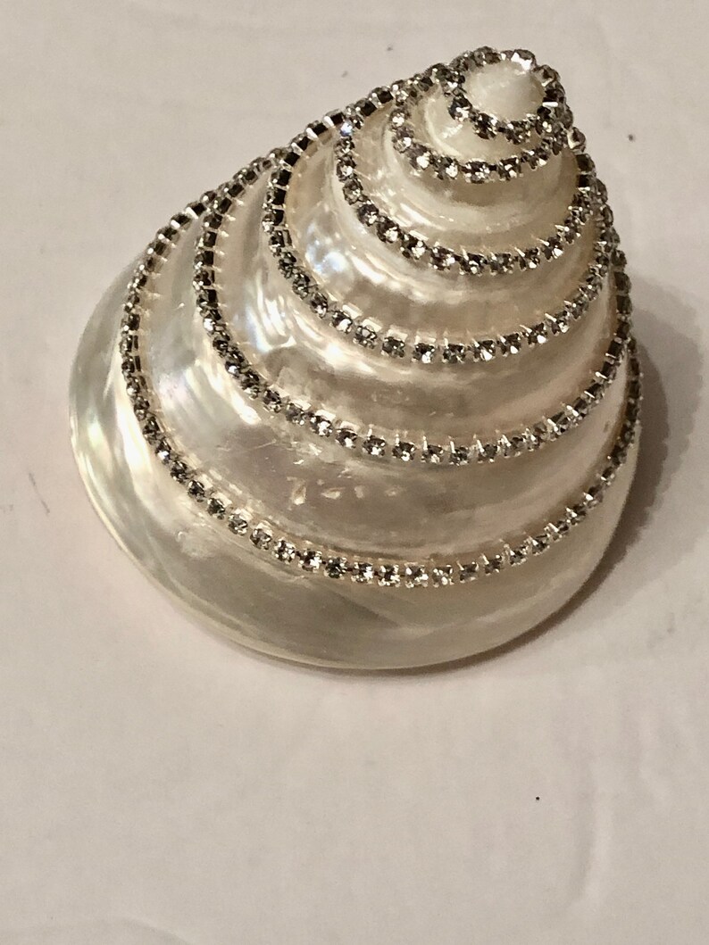 Embellished Pearl Finish Polished Trochus Shell Accented With | Etsy