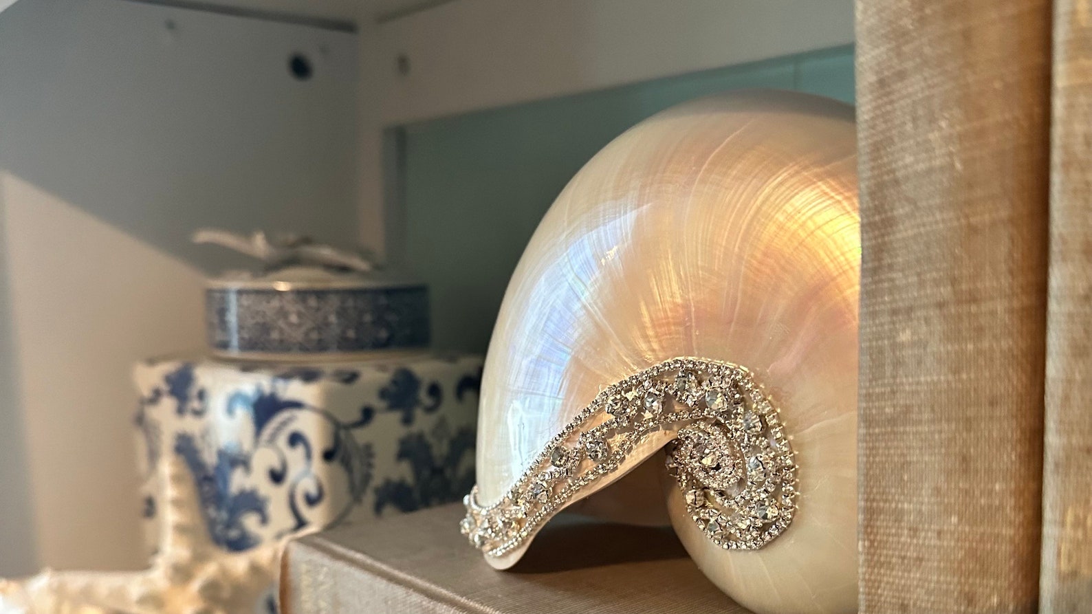 Embellished Polished Nautilus Shell With Rhinestone Crystals - Polished ...
