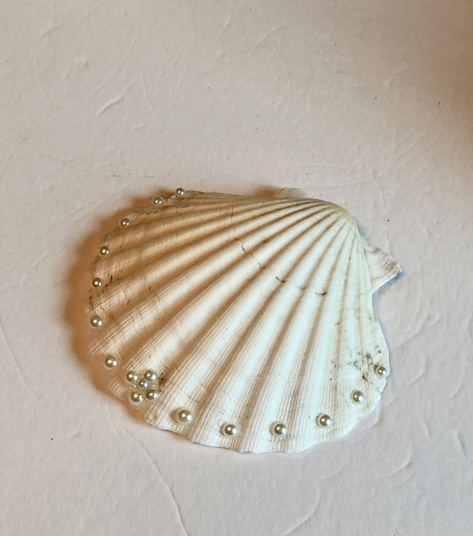 Coastal Decor for Beach Wedding Giant Scallop Embellished With ...