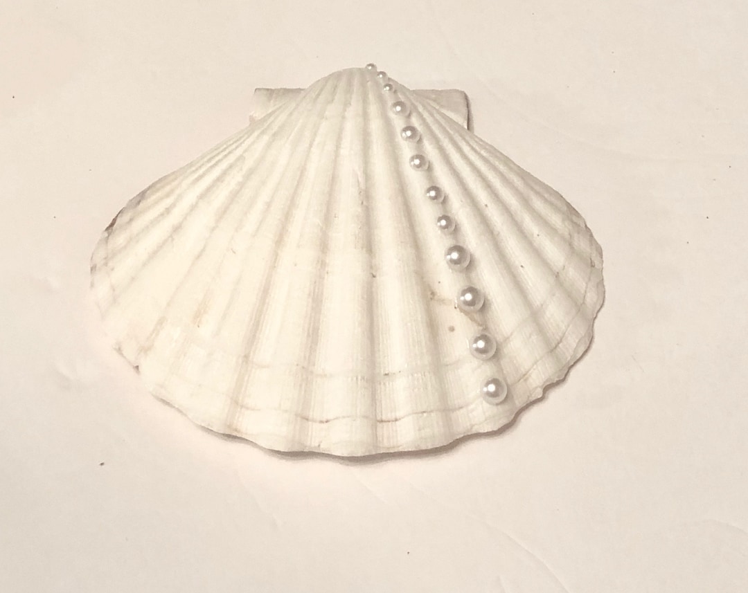 Large 5 - 5.5 Inch Scallop Shell Embellished With Pearls, Coastal Decor ...