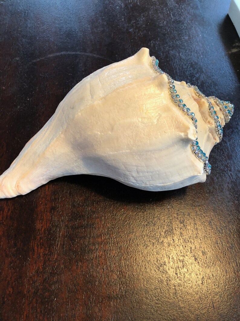 Large Rhinestone Embellished Shell Beautiful Atlantic Whelk - Etsy