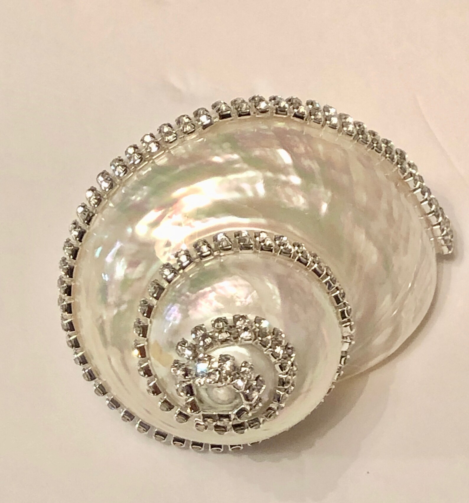 Polished Turbo Shell Pearl Color Embellished With Rhinestone - Etsy