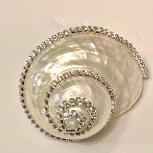 Polished Turbo Shell, Pearl Color Embellished With Rhinestone Crystals ...