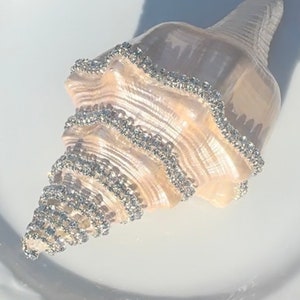 Embellished Shells, Pearl Color Embellished With Rhinestone Crystals 6 ...
