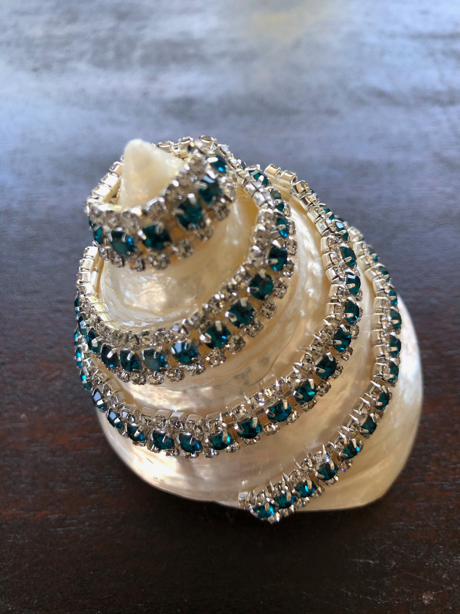 Polished Turbo Shell or Trochus Shell, Embellished With Rhinestone ...