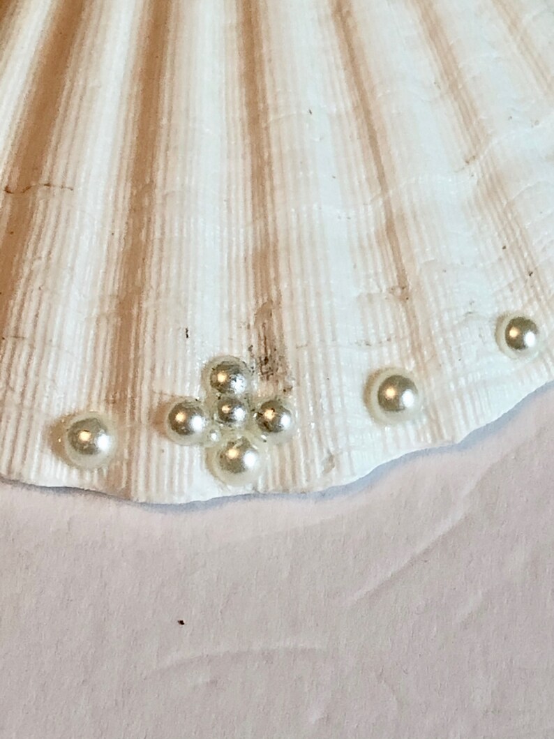 Coastal Decor for Beach Wedding Giant Scallop Embellished With ...