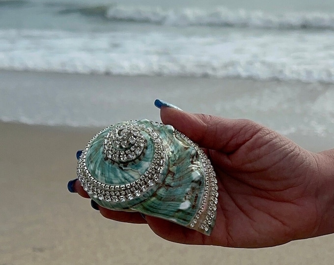 Large Rhinestone Embellished Shell, Beautiful Atlantic Whelk With Pearl ...